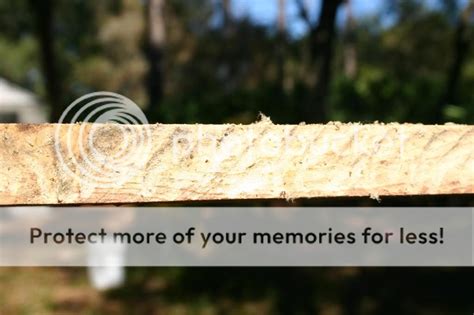 Honey Bees In Central Florida New Beekeeping Year