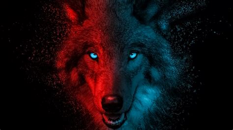 Stunning 4k Cool Wolf Wallpapers For Your Device