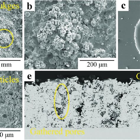 Sem Photos Of Sample A A Surface Morphology B Magnified Surface Download Scientific