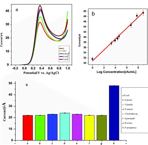 A 1 CV Curve Using Bare GCE In PB PH 7 0 2 6 CV Curves Using Download Scientific