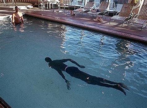 Zima Is That You Scrolller