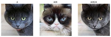 Domain Adaptation Image To Image Translation Gradient Reversal Layer Adversarial Domain