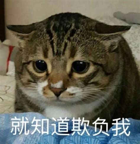 榨精飞儿feier On Twitter 大家放心，我身体上基本痊愈了。可是心灵的创伤还是很大的，需要摸同学们的鸡鸡才能痊愈🥲