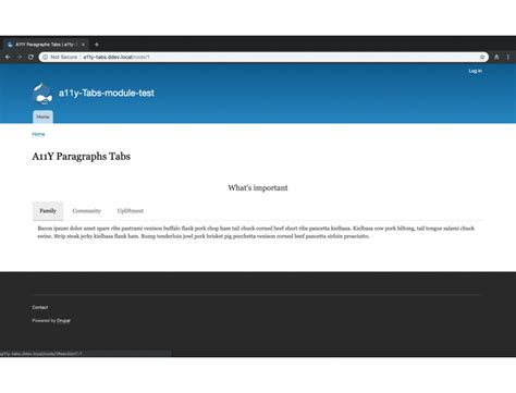 a11y paragraphs tabs