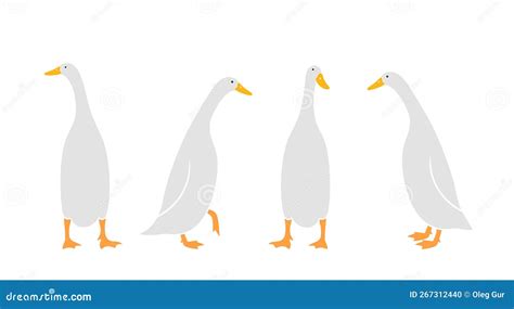 Indian Runner Ducks Logo Isolated Indian Runner Ducks On White Background Bird Cartoon Vector