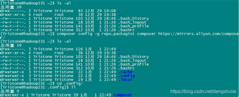 如何安装composer？怎么将composer切换为国内源？（阿里源）composer更换阿里源 Csdn博客