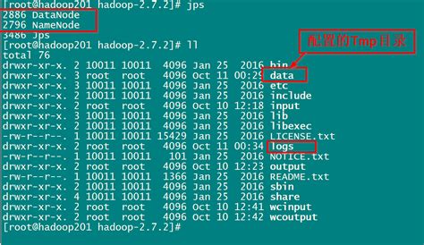 Hadoop 再次格式化文件系统 Binhdfs Namenode Format 码上快乐