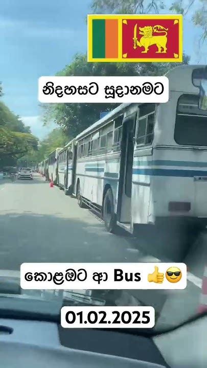 නිදහස් උත්සවය වෙනුවෙන් පෙර සූදානමට අභීත රණවිරුවන් පැමින බස්රථ ආඩම්බරයි 🇱🇰🙏 Youtube