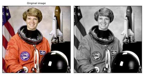 Illustration Of Transforms — Torchvision Main Documentation