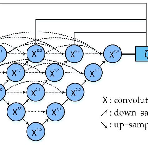 Different Model Structures On Citrus Crown Segmentation Download Scientific Diagram