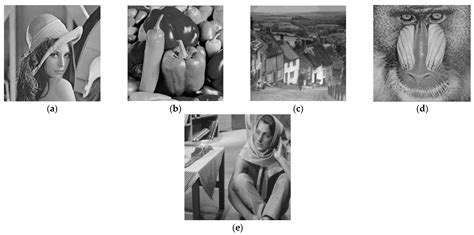 mathematics free full text performance augmentation of cuckoo search optimization technique