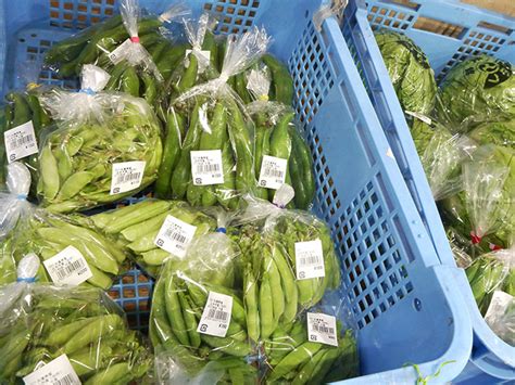 三木市別所産の野菜 道の駅みき