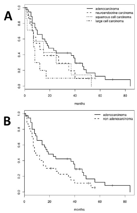 Survival Curves Showing That Grouping By Histotype Was Not A