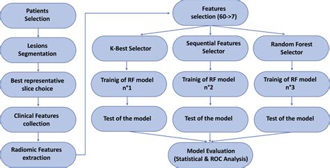 Scheme Of The Overall Pipeline Of This Study Download Scientific Diagram