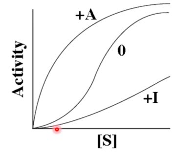 Lecture 7 Enzyme Kinetics And Control Flashcards Quizlet