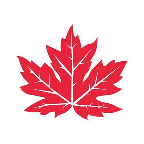 Icon Of A Maple Leaf Raster Illustration Background Logo Template