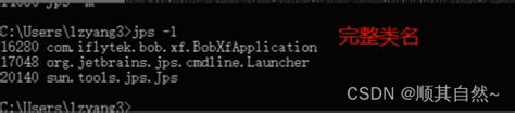 Jps命令详解 Csdn博客