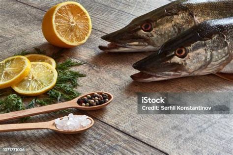 향미료 딜 히말라야 소금 레몬 나무 테이블에 두 개의 신선한 파이크 물고기 상위 뷰를 닫습니다 건강한 생활방식에 대한 스톡 사진 및 기타 이미지 Istock