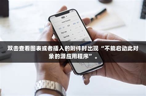 双击查看图表或者插入的附件时出现“不能启动此对象的源应用程序”。 伙伴云