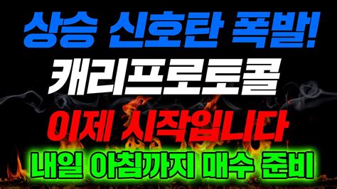 상승 신호탄 폭발 캐리프로토콜 이제 시작입니다 내일 아침까지 매수 준비 캐리프로토콜 캐리프로토콜전망 캐리프로토콜코인 Youtube