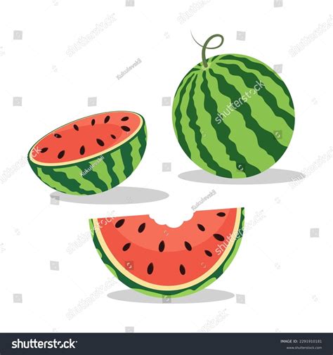 흰색 배경에 수박 벡터 일러스트레이션 스톡 벡터 로열티 프리 2291910181 Shutterstock