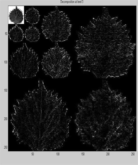 Fig A Original Image Fig B 3 Level Decomposed Image Download Scientific Diagram