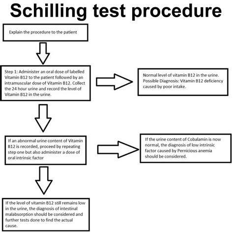 Schilling Test For Pernicious Anemia And Schilling Test Procedure