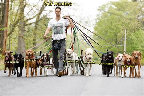 The Hierarchy Of Our Guild Part Deux R Classicwow