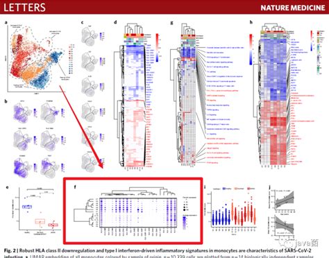 R语言数据可视化 气泡图 阿里云开发者社区