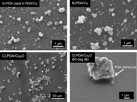 Plan View SEM Images Of The Coatings A PDA Only From An Intermediate Download Scientific