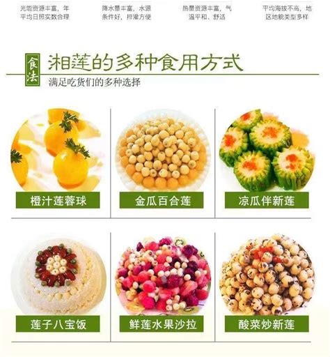 莲子干货 湖南特产磨皮去芯特级白莲子非带芯莲子百合 阿里巴巴