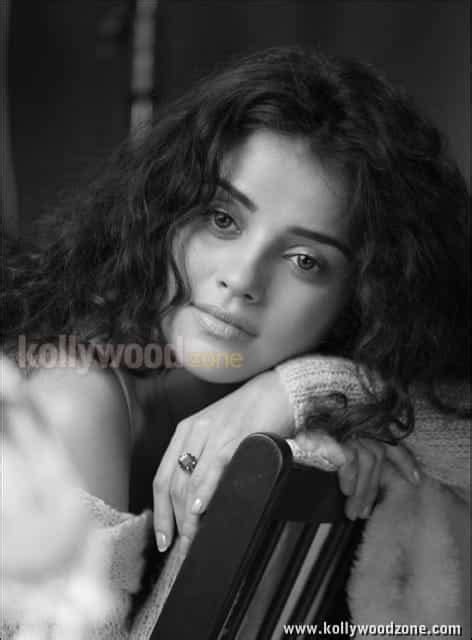 Piaa Bajpai Sexy Pictures 30 171410 Kollywood Zone