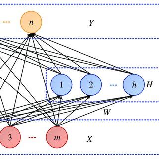 Functional Link Neural Network Structure Diagram Download Scientific Diagram