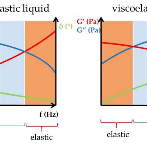 Viscous And Elastic Character Of Viscoelastic Materials Download Scientific Diagram