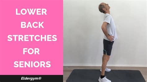 Lower Back Exercises At Home For Seniors At Elizabeth Simson Blog