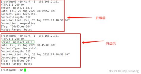 Nginx：高性能web服务器与apache对比详解 Csdn博客