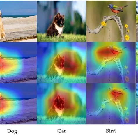visualization of feature activation download scientific diagram