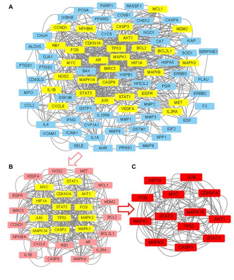 Ppi Hub Gene Analysis A Ppi Of 83 Target Genes For Chronic Atrophic