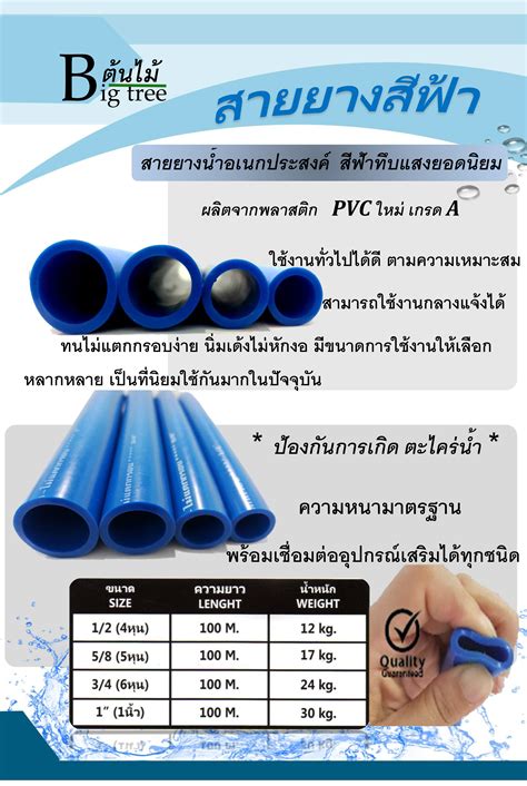 สายยางรดน้ำ ตราต้นไม้ 5 8 5หุน เกรด A