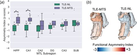 Mtl Functional Asymmetry Analyses A Normalized Functional