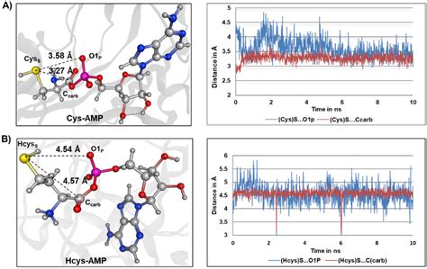 The Conformation Adopted By The Substrate As Well As A Plot Indicating Download Scientific