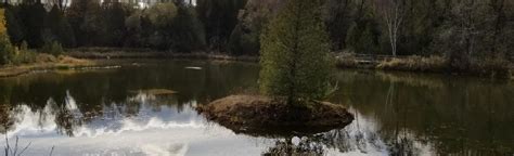 Heber Down Conservation Area Trail Ontario Canada 865 Reviews Map