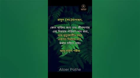 সবাইকে বেশি বেশি দান করতে হবে।islamic Religious আল্লাহ ইসলাম কোরআন