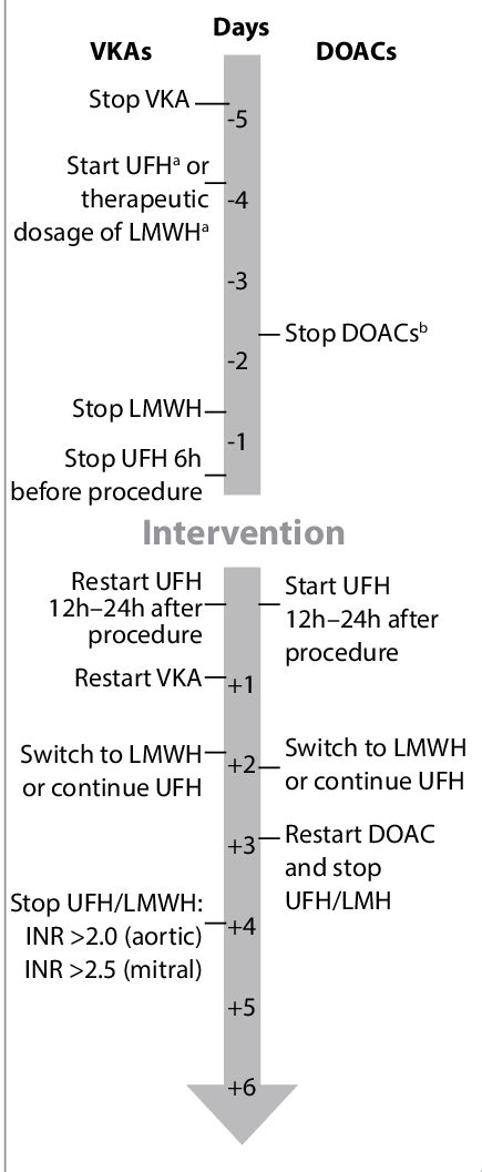 Management Of Oral Anticoagulation In Patients With An Indication For Download Scientific