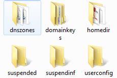 Crucial Download A DNS Zone File From CPanel