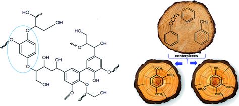 Idealized Structural Unit Of Lignin Left And Graphical Presentation