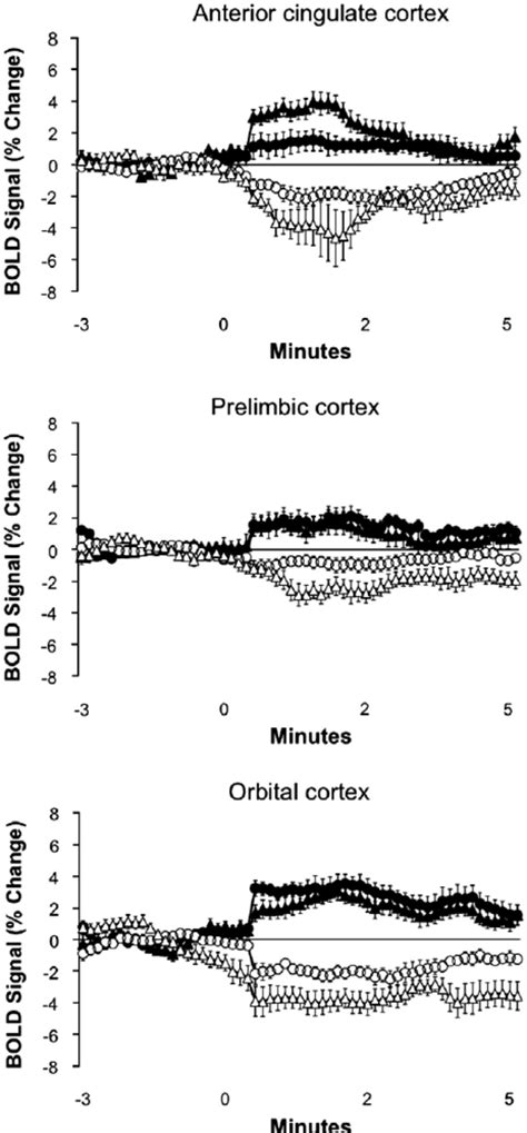 Bold Signal Time Courses For The Anterior Cingulate Prelimbic And Download Scientific Diagram