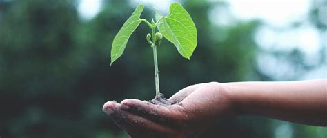 Msme Policies For Enabling Environment And Decent Work International