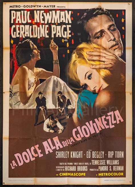 Sweet Bird Of Youth Movie Poster 1962 1 Sheet 27x41