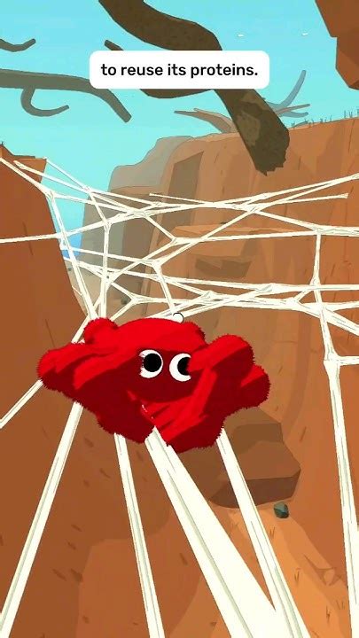 Spider Fact 6 Spider Silk Fluffy Spider Game Gaming Indiegame Gamedev Indiedev Youtube